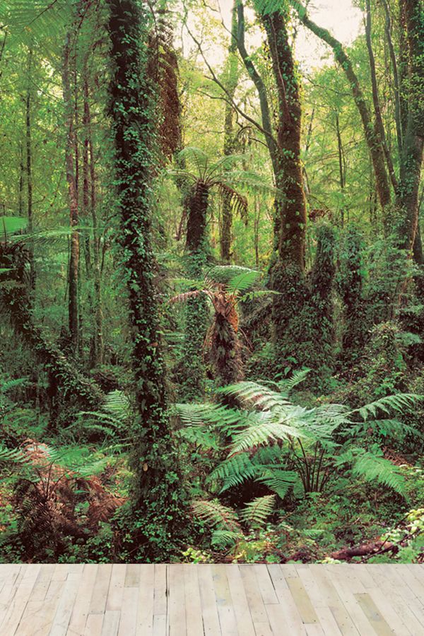 Paradise Wall Mural | Urban Outfitters