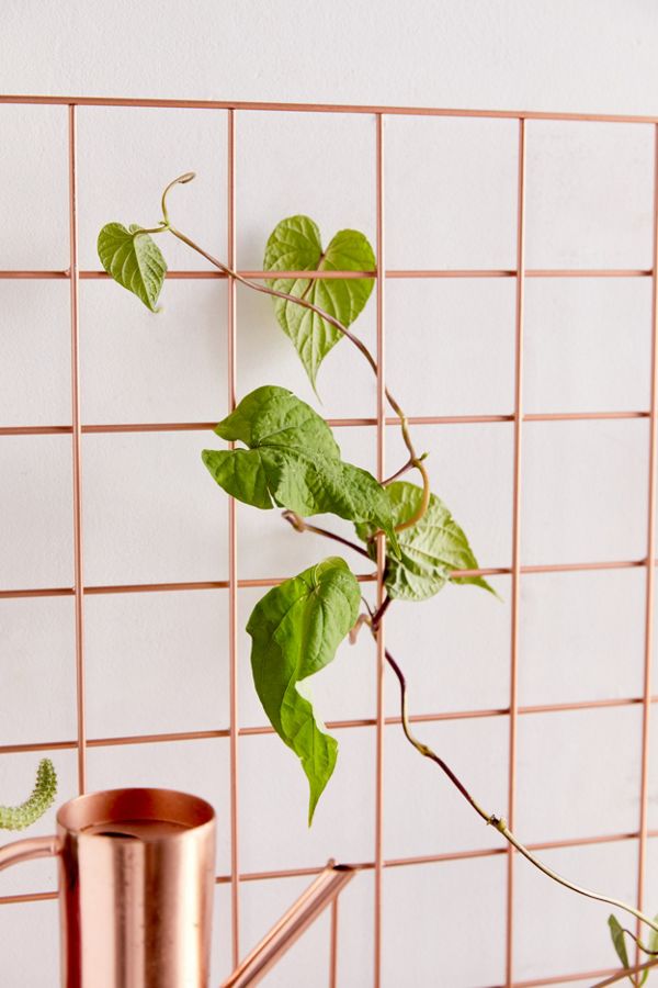 Wire Wall Square Grid | Urban Outfitters