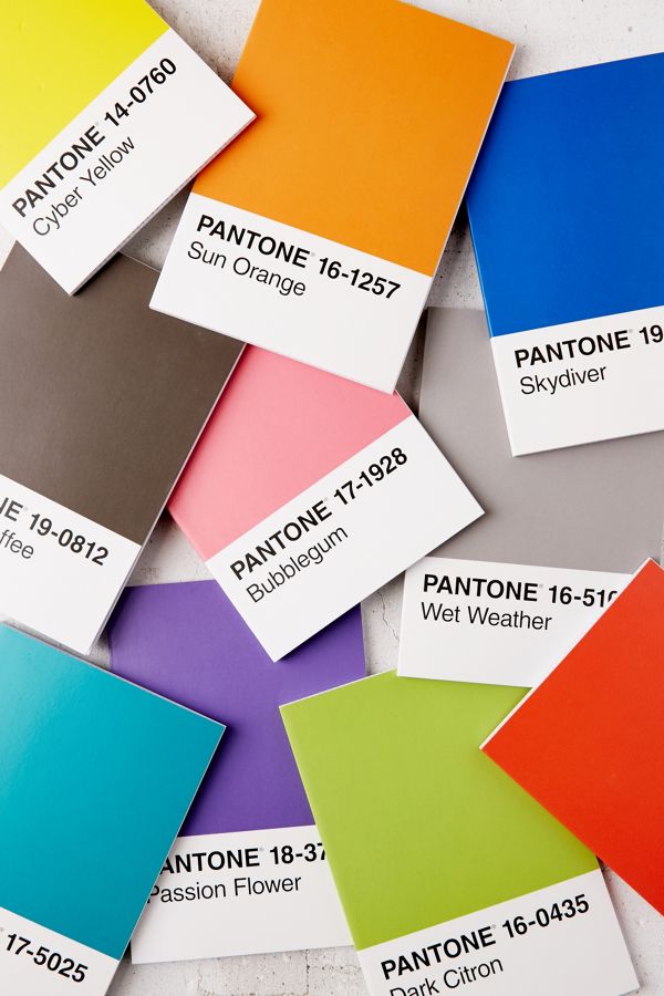 Pantone Notebooks Set | Urban Outfitters