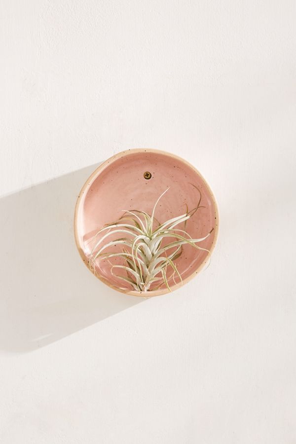 Simi Air Plant Holder | Urban Outfitters