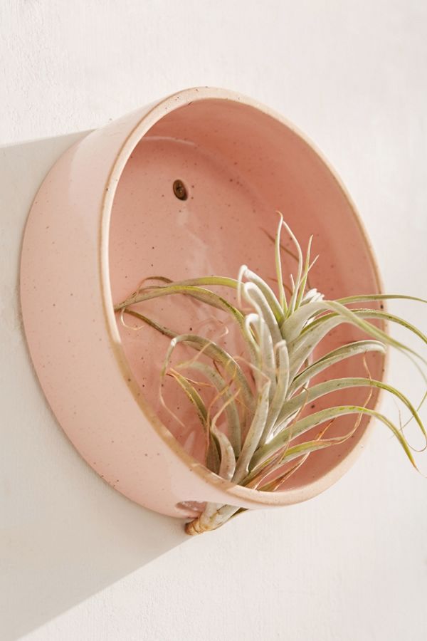 Simi Air Plant Holder | Urban Outfitters