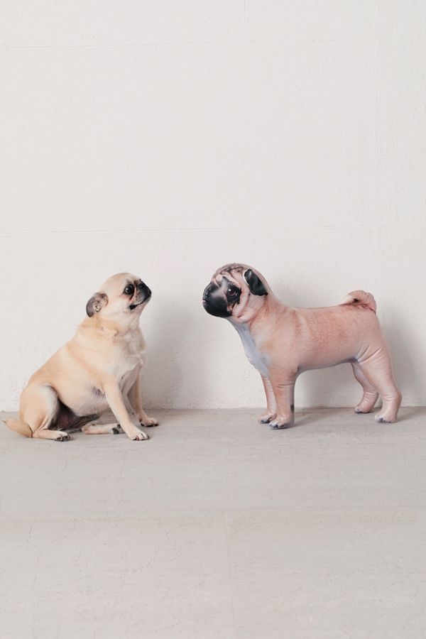 Inflatable Pug | Urban Outfitters
